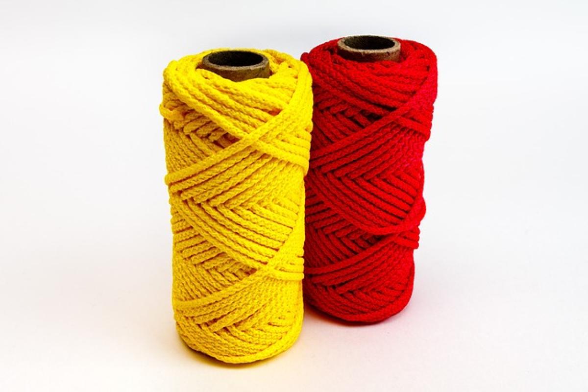 2024 TPASS可以綁手機嗎？詳解綁定方式與注意事項